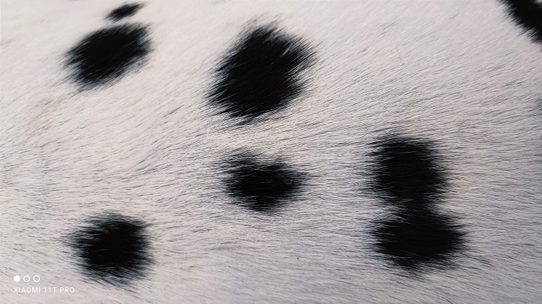 Xiaomi 11T PRO - Shape Chaser Review - Mi 11 Series - Xiaomi Community - Xiaomi