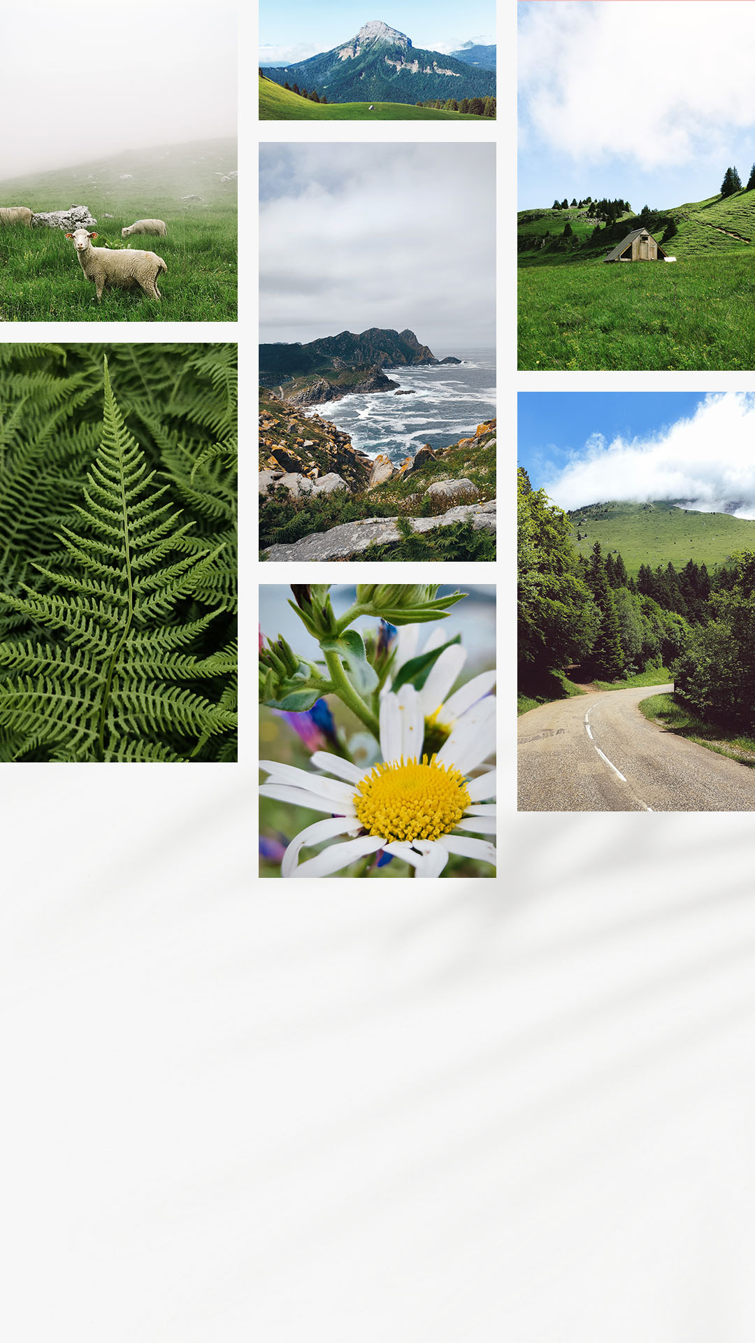 Mi Nuevo Wallpaper By Have You Stopped By The New Snick Lounge At